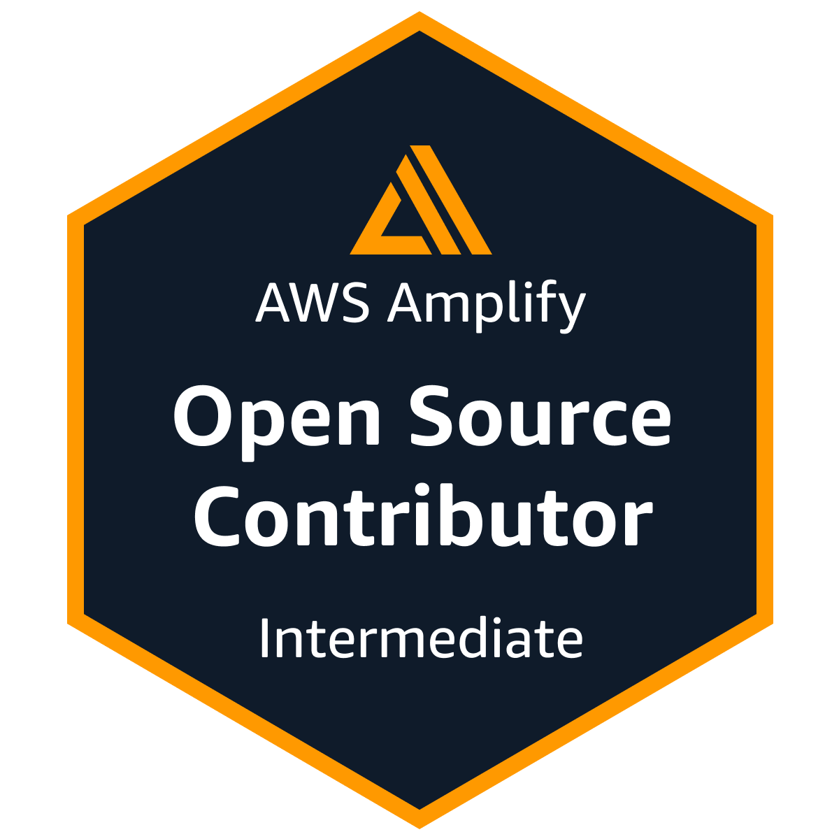 Aws Amplify Contributor Program Aws Amplify Docs